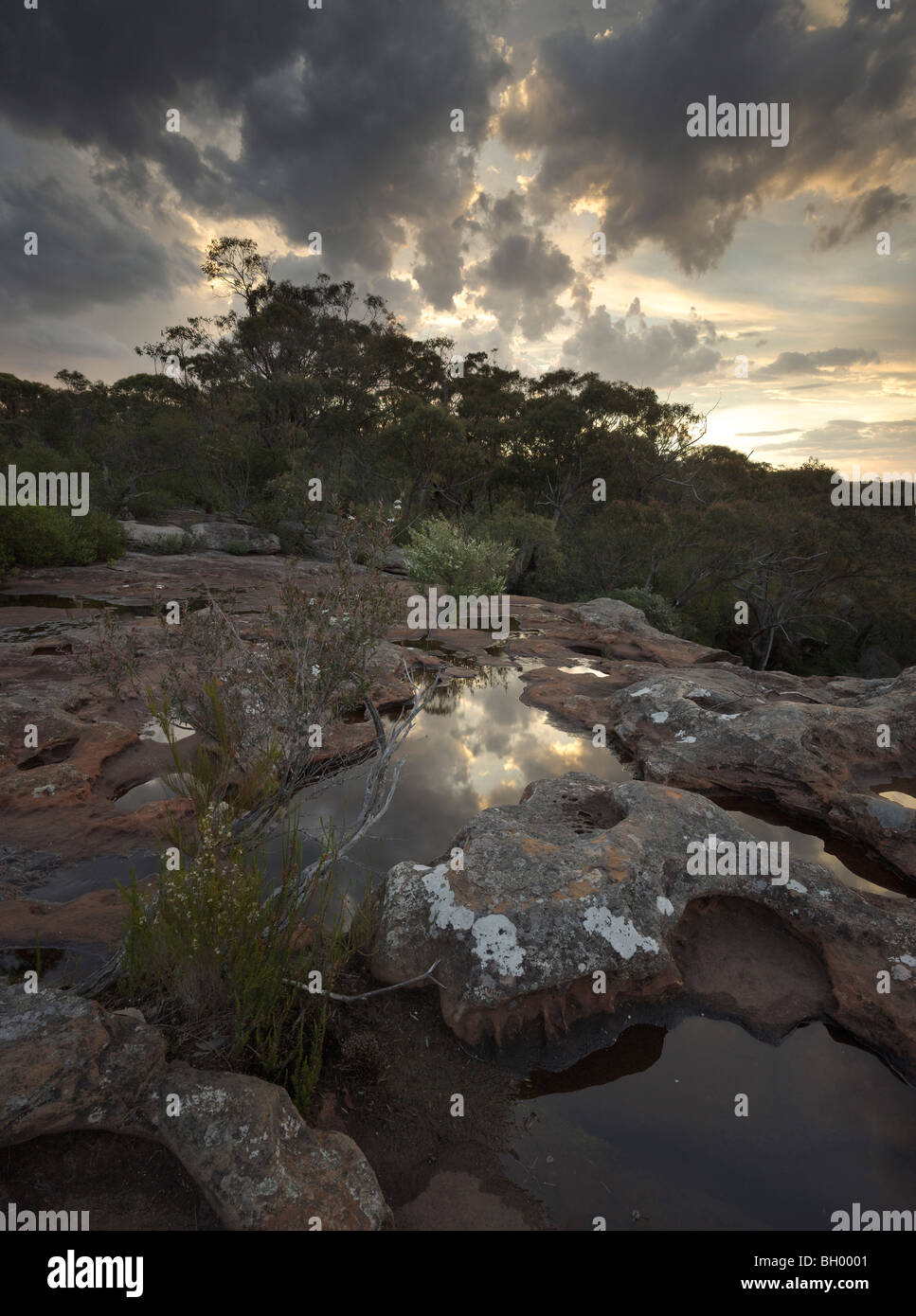 Evening Dharawal State Conservation Area, Darkes Forest NSW Australia ...