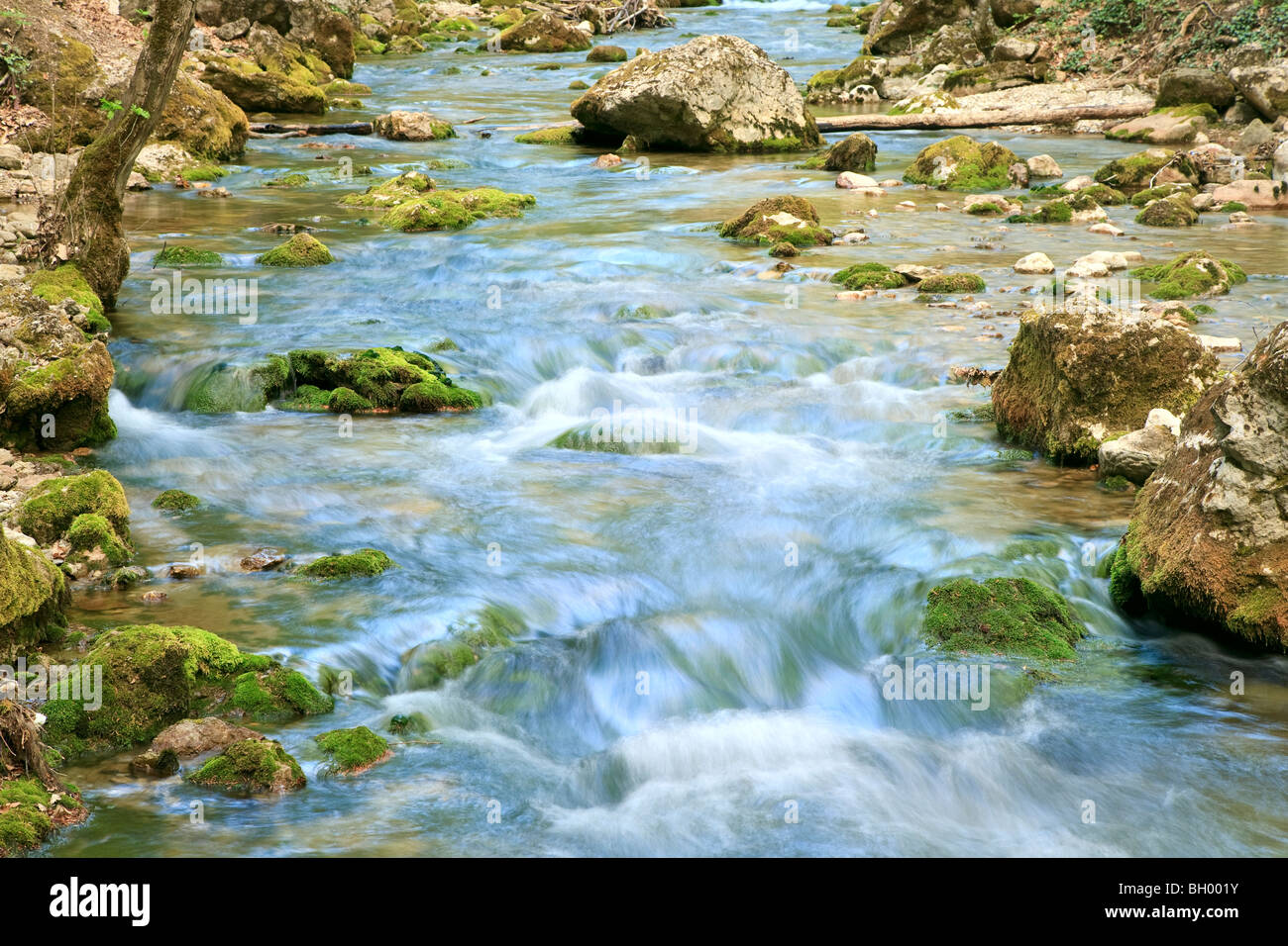 ripples and cascades on spring mountain river (Kokkozka River, Great ...