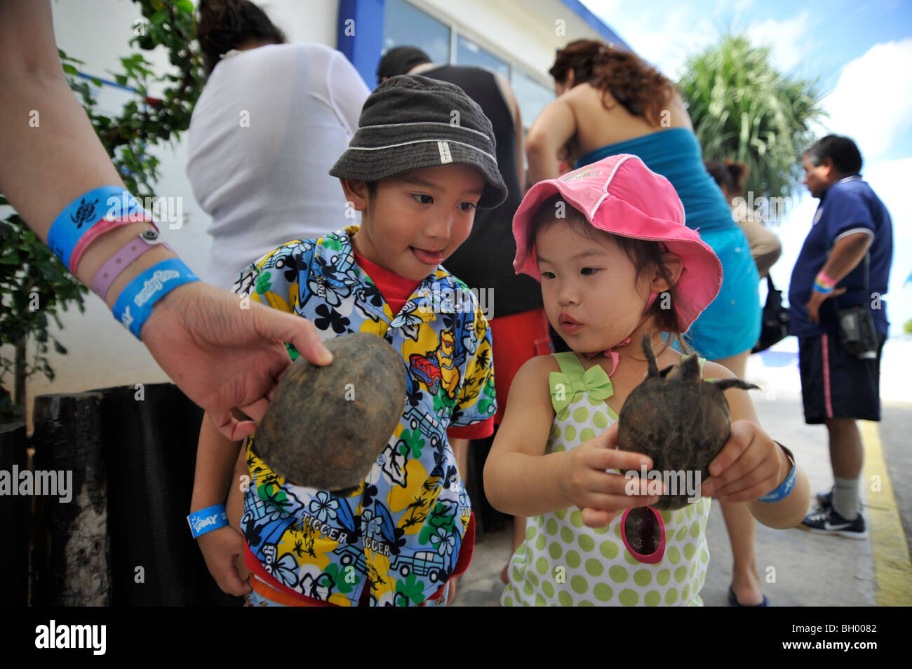 Boy sea turtles mexico hi-res stock photography and images - Alamy