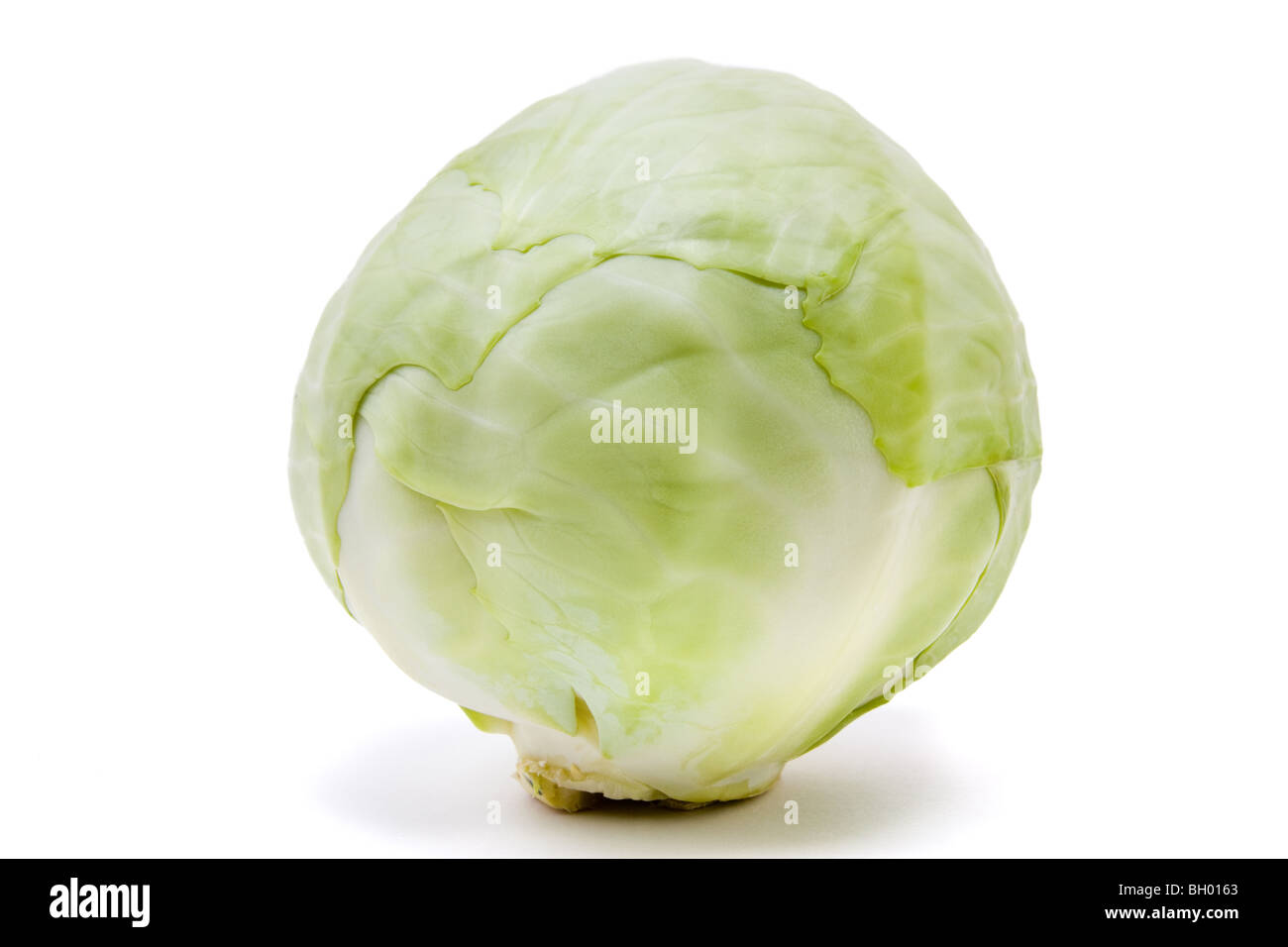 Whole natural White Cabbage isolated against white background Stock ...
