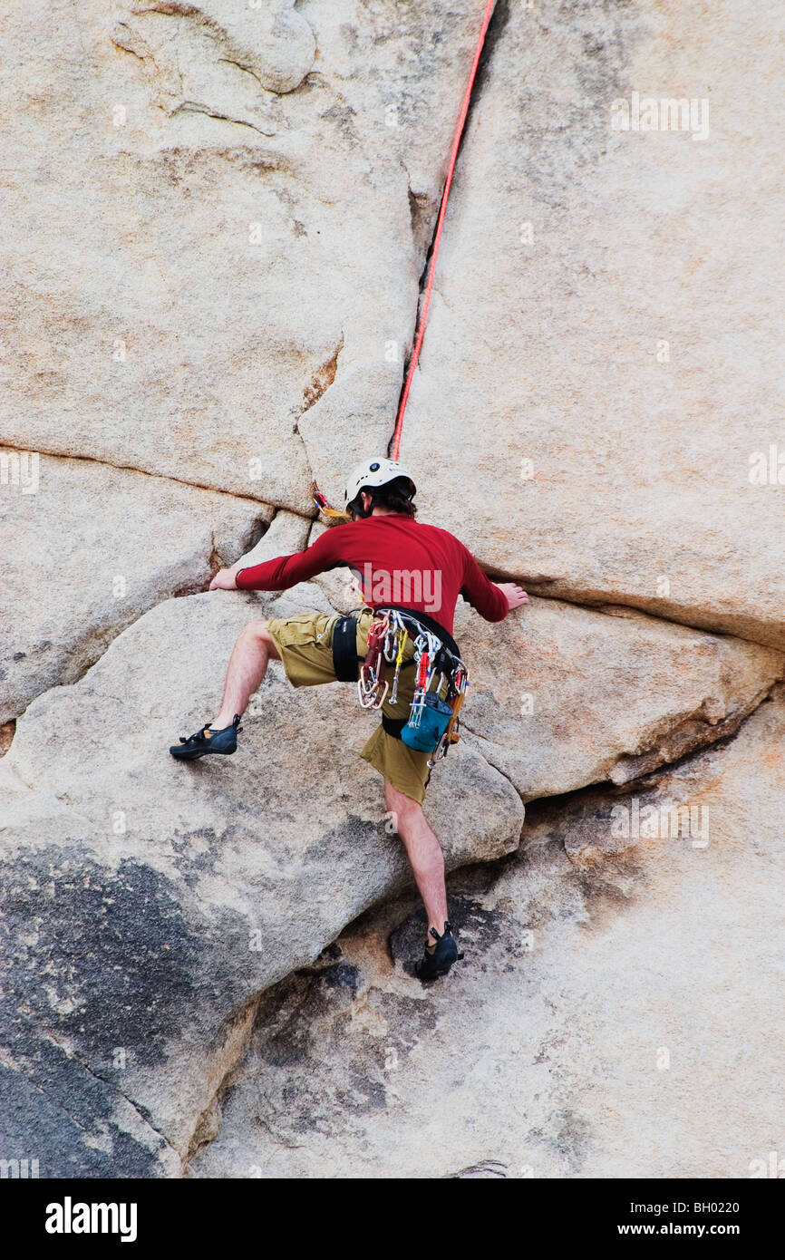 Men climbing tree hi-res stock photography and images - Alamy