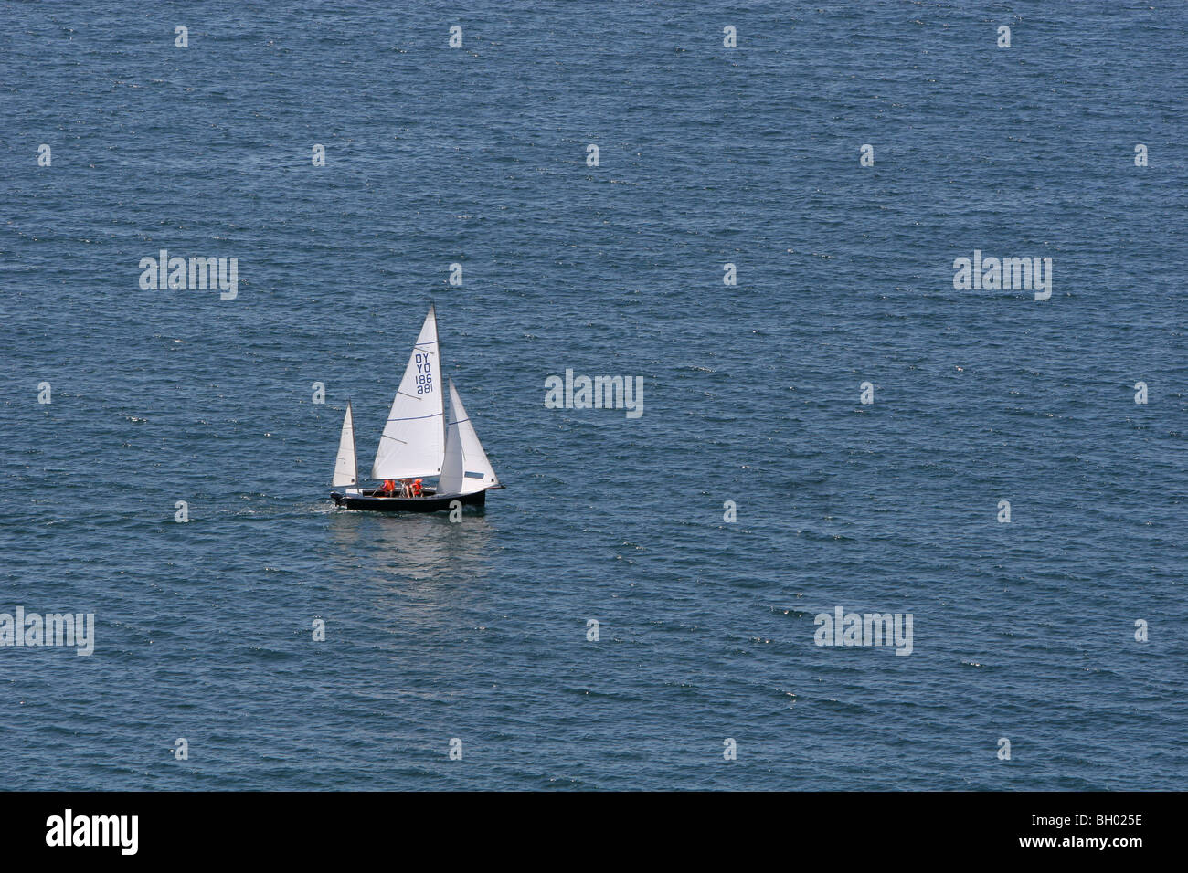 A lone yacht sailing off the coast at Wembury, Devon UK Stock Photo - Alamy