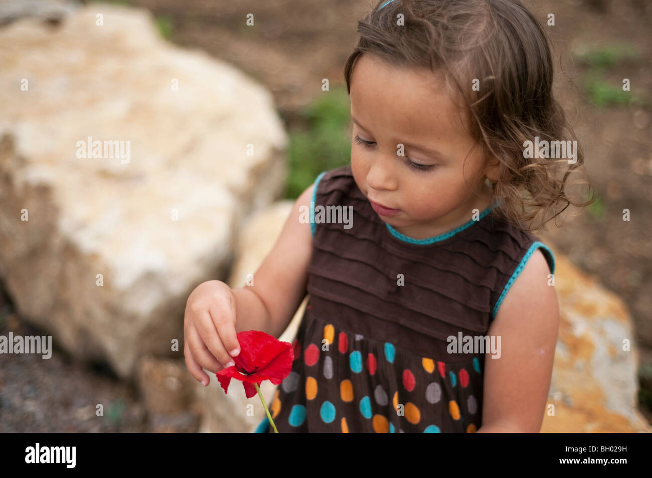 Young child holding a poppy Stock Photo - Alamy