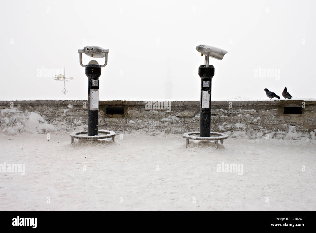 Scoping hi-res stock photography and images - Alamy