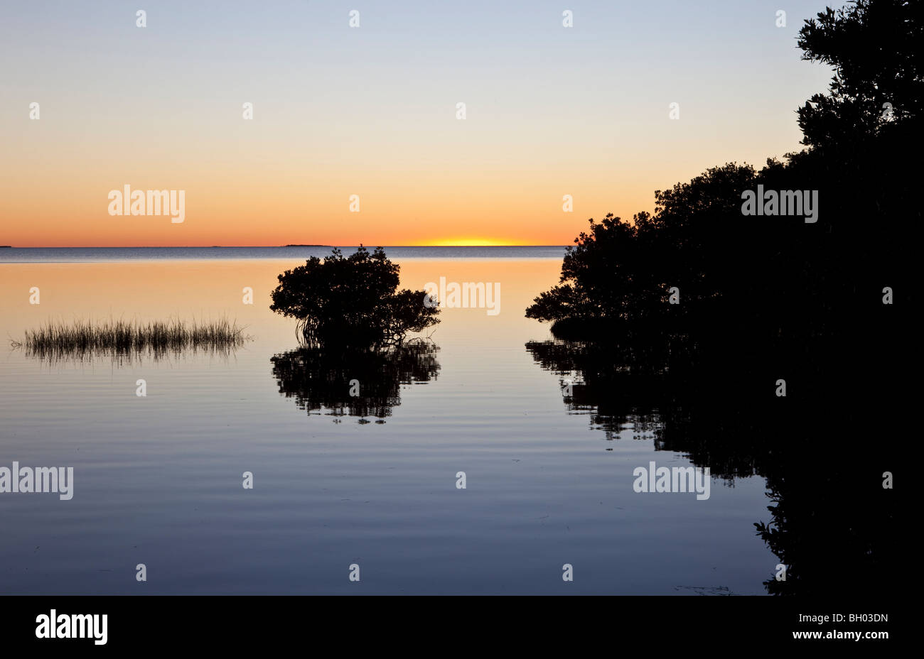 Sunset, Howard Park, Tarpon Springs, Florida Stock Photo - Alamy