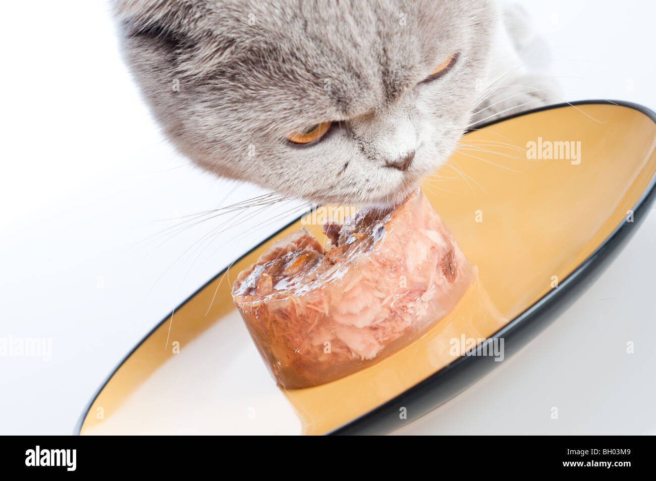 Almost empty plate hi-res stock photography and images - Alamy