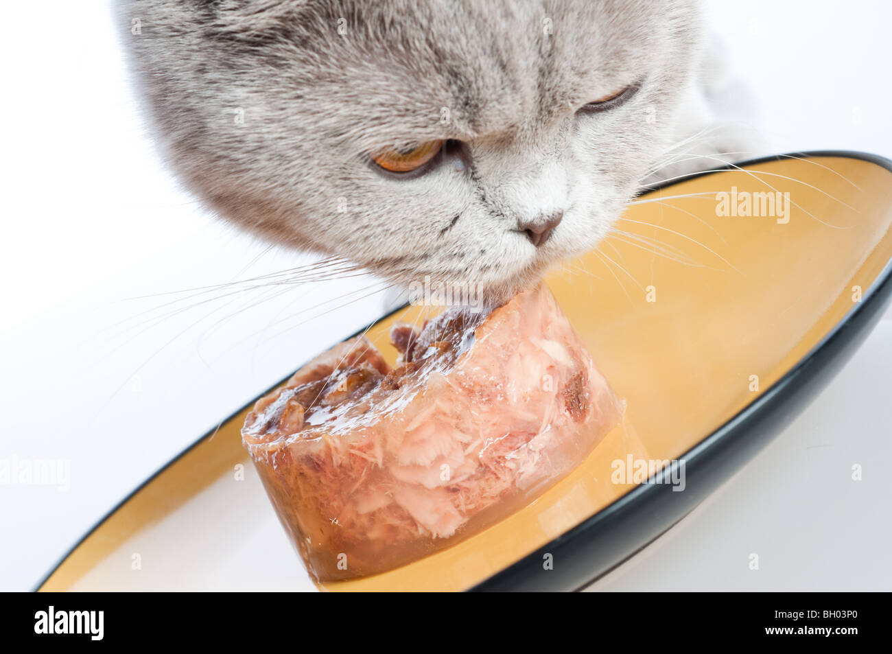 Almost empty plate hi-res stock photography and images - Alamy