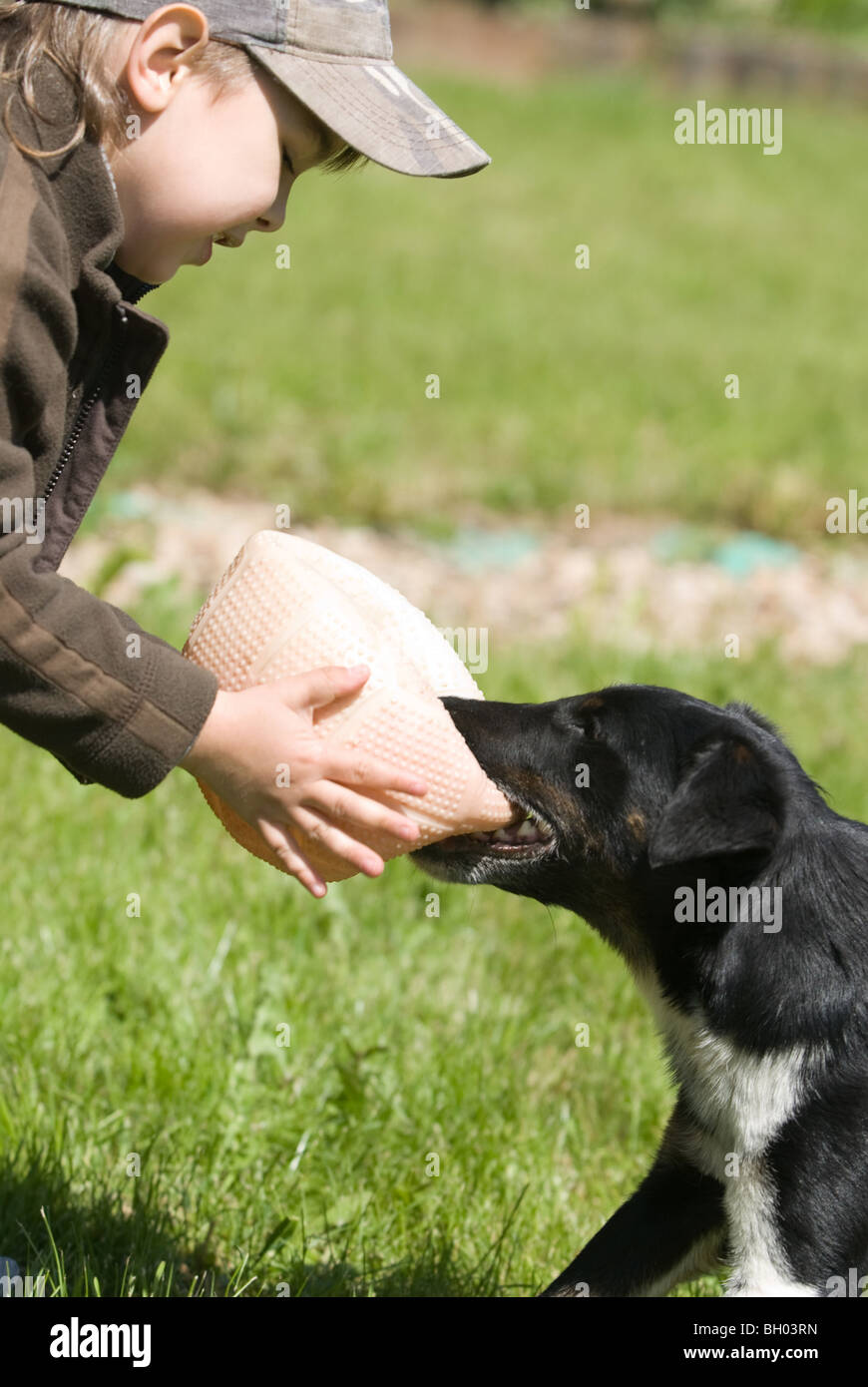 Boy playing with dog Stock Photo - Alamy