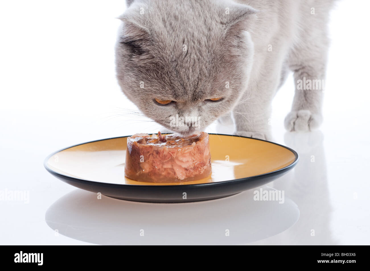 Almost empty plate hi-res stock photography and images - Alamy