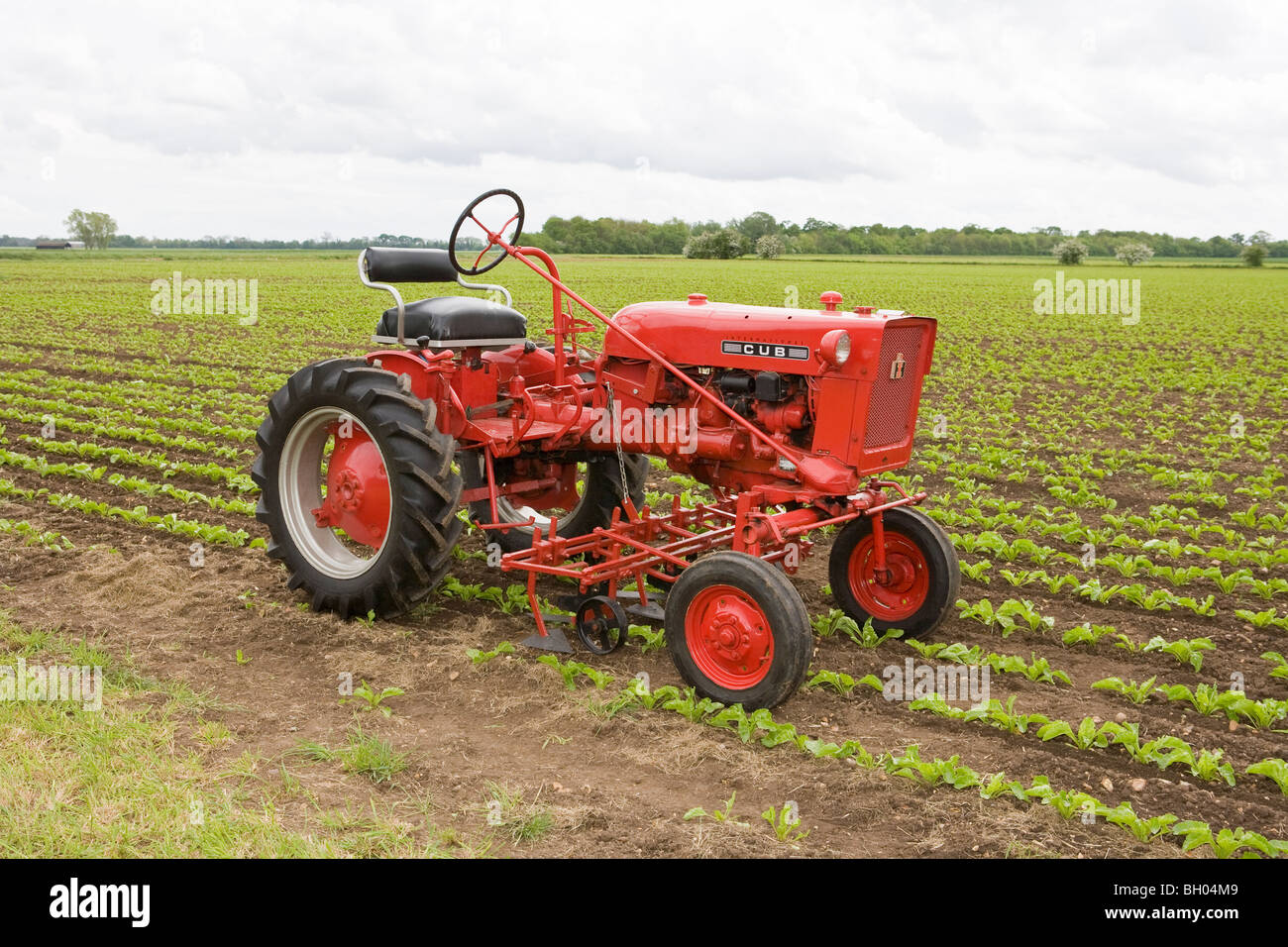 International Cub Row Crop Tractor Stock Photo - Alamy