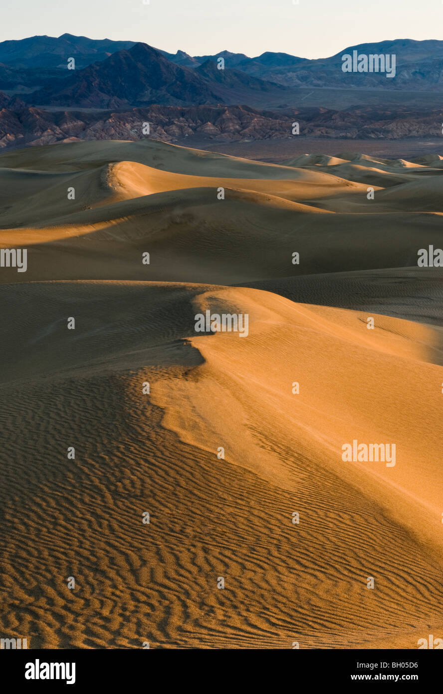 Golden sand dunes sunrise hi-res stock photography and images - Alamy