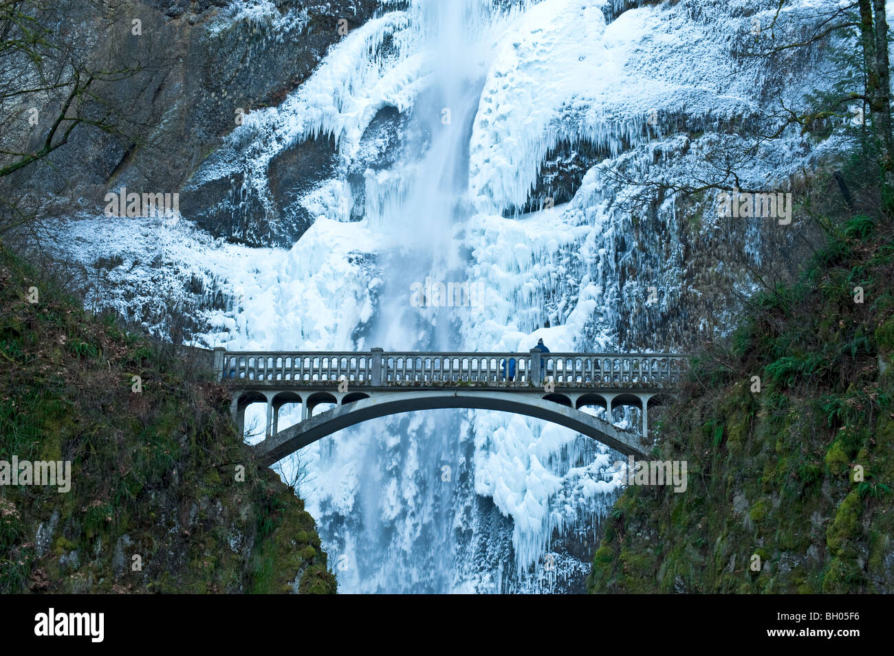 Multnomah Falls, Oregon, frozen in winter Stock Photo - Alamy