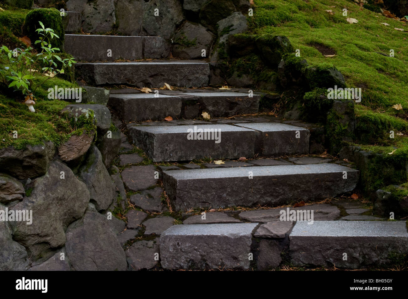 Garden path with glowing steps going down Stock Photo - Alamy
