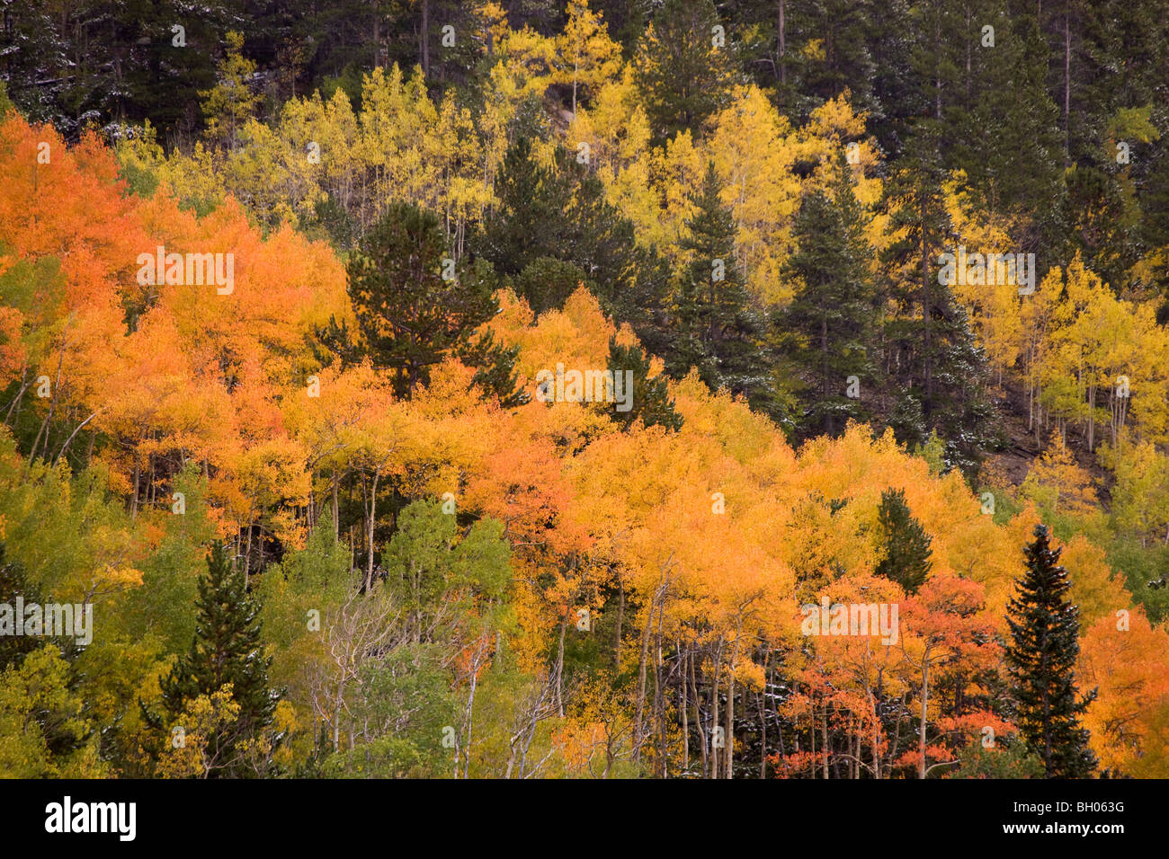 Monarch pass hi-res stock photography and images - Alamy