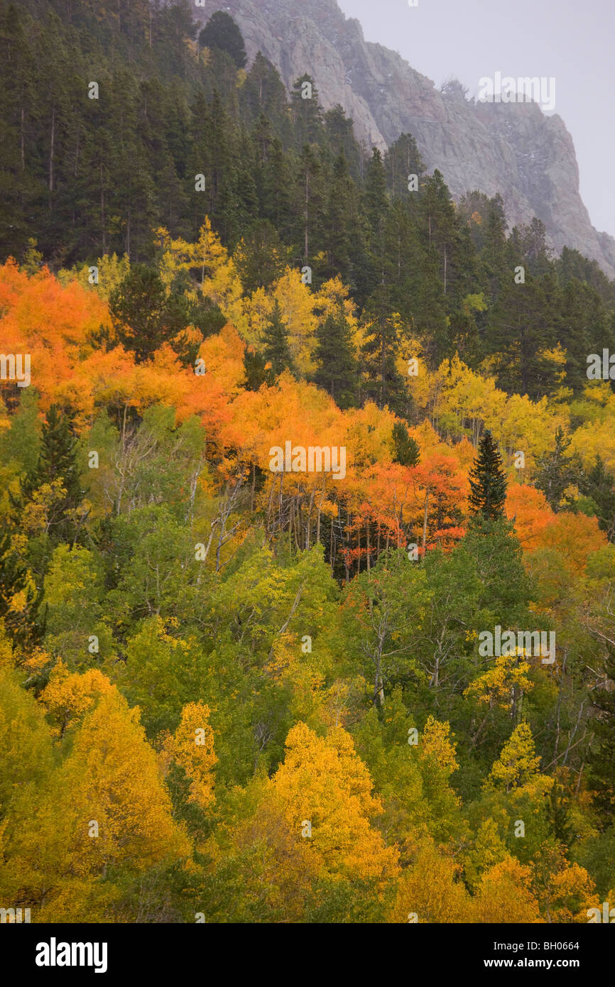 Monarch pass hi-res stock photography and images - Alamy