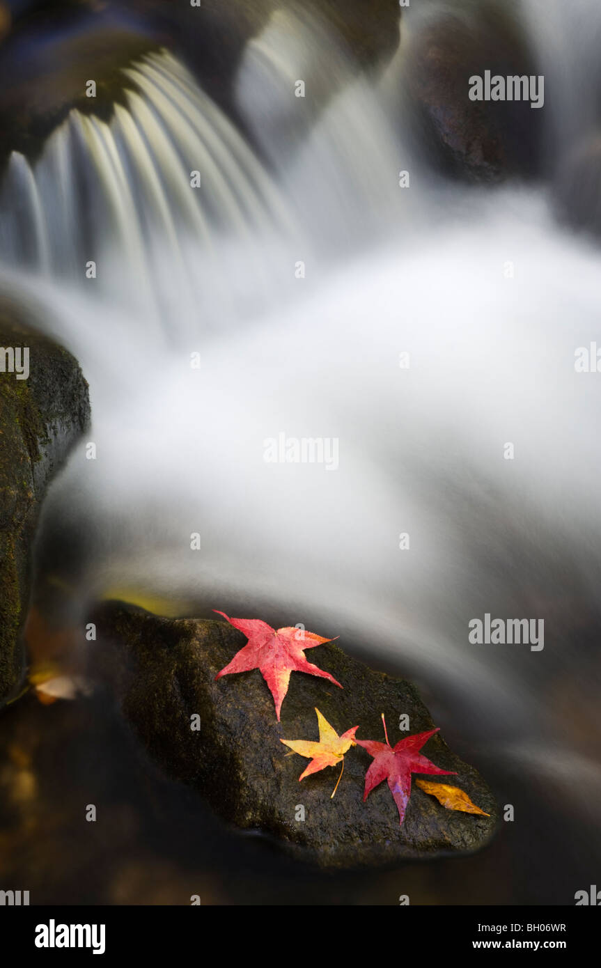 Saluda south carolina river hi-res stock photography and images - Alamy