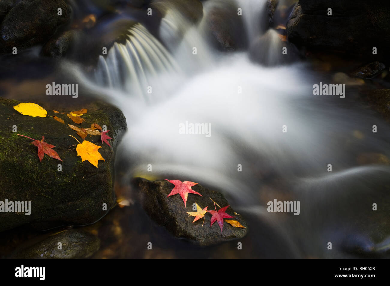 Saluda south carolina river hi-res stock photography and images - Alamy