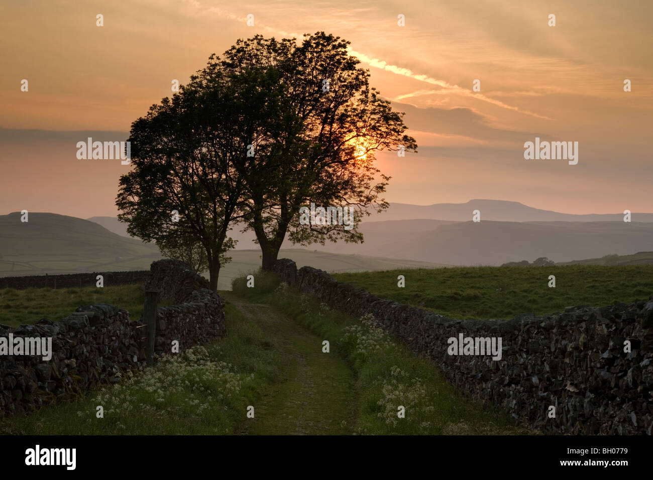 Goat Scar Lane, Stainforth, Ribblesdale, Yorkshire Dales, England, UK ...