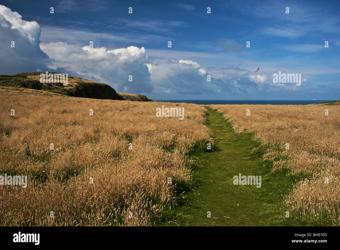 Scenic skomer image hi-res stock photography and images - Alamy