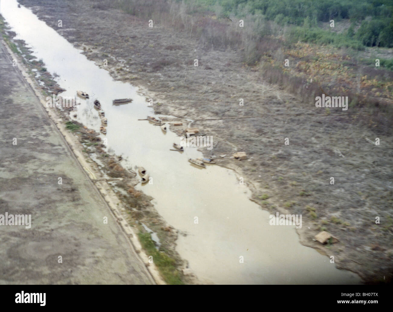 Photo depicts deterioration of vegetation, likely caused by Agent ...