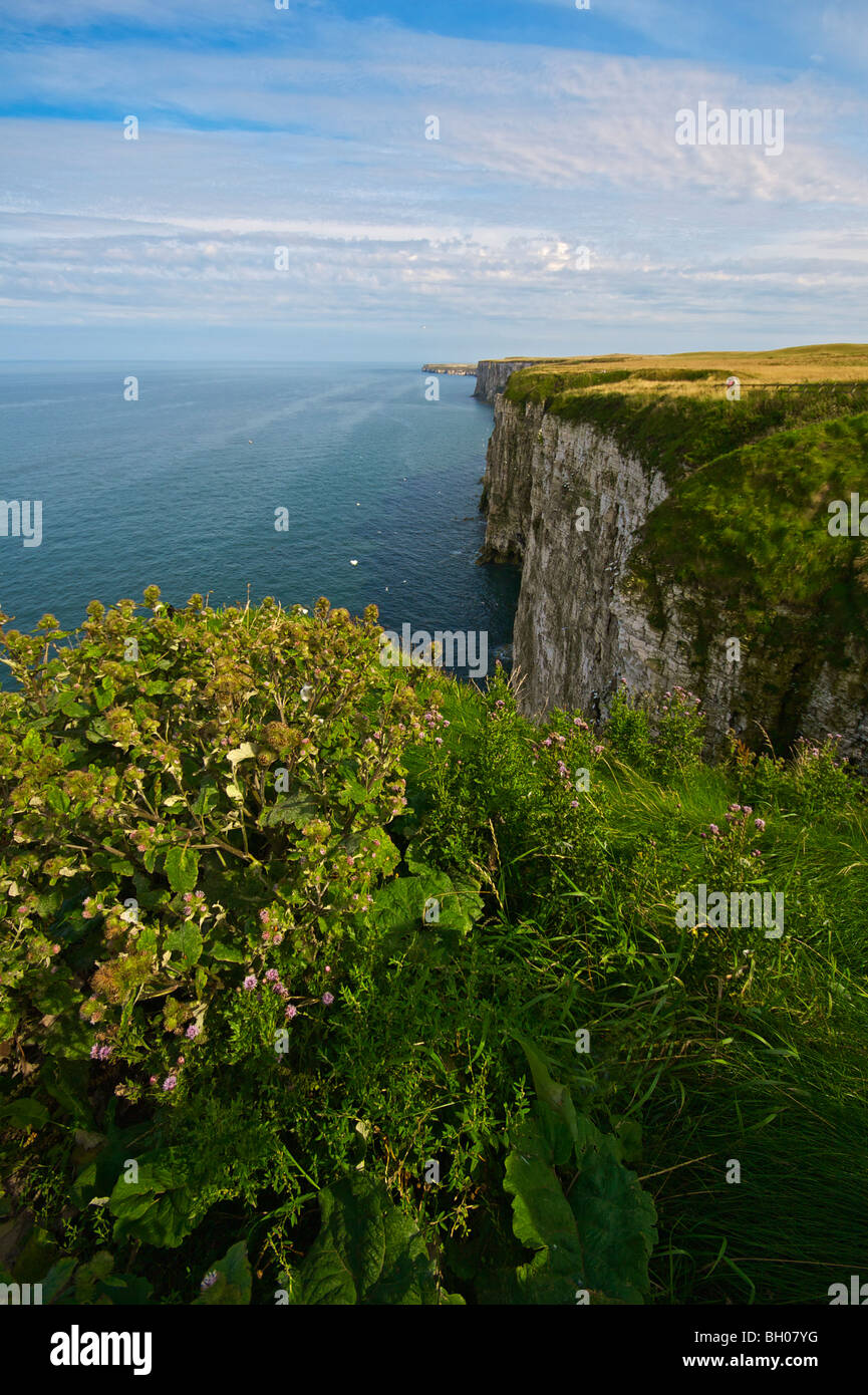 Immense vertical cliffs hi-res stock photography and images - Alamy