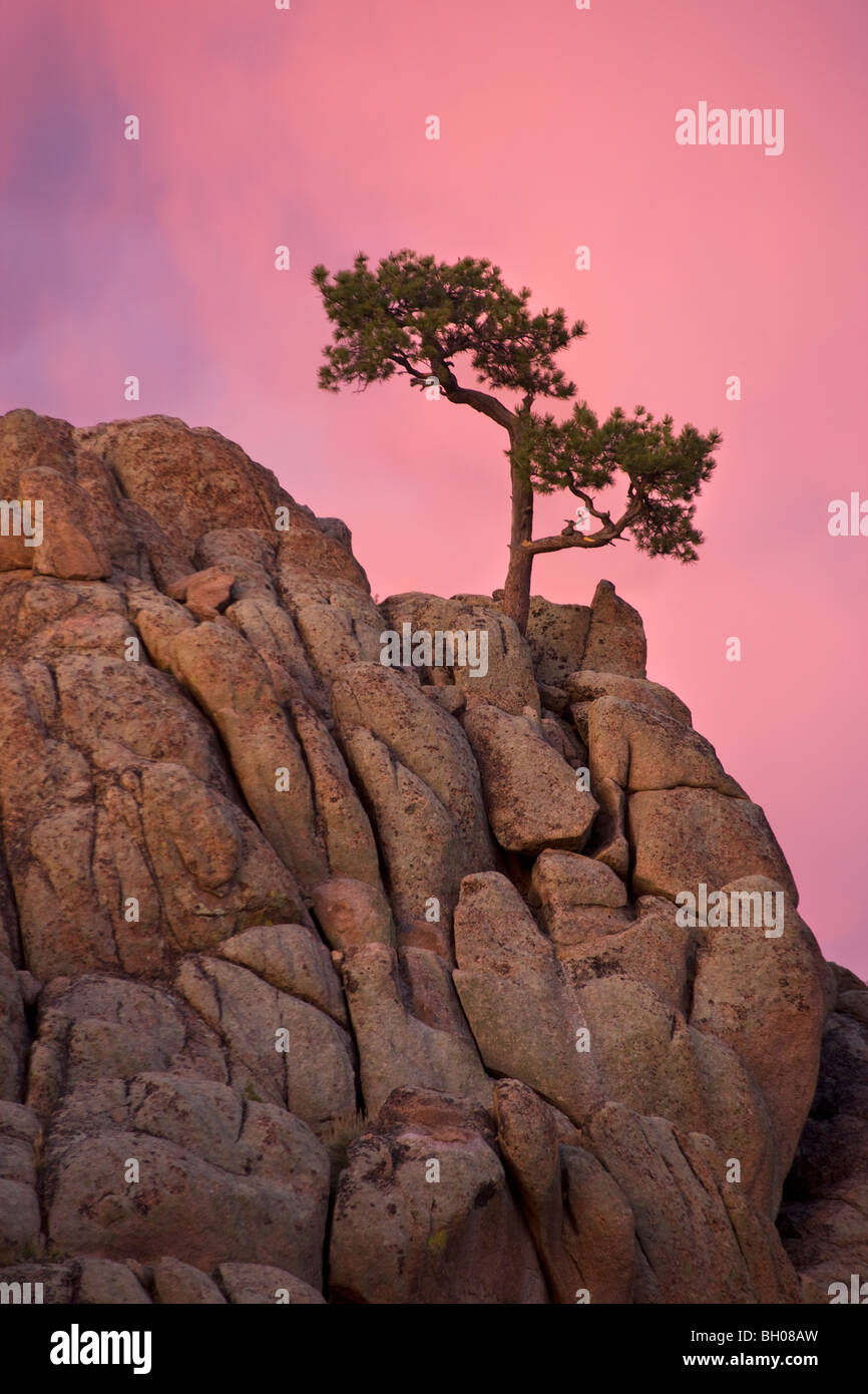 Hartman Rocks Recreation Area, Gunnison, Colorado Stock Photo - Alamy