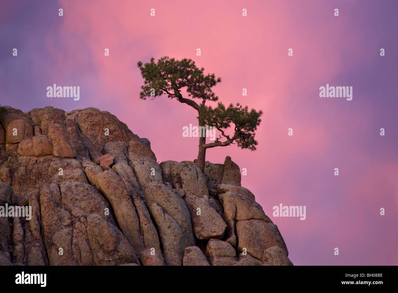 Hartman Rocks Recreation Area, Gunnison, Colorado Stock Photo - Alamy