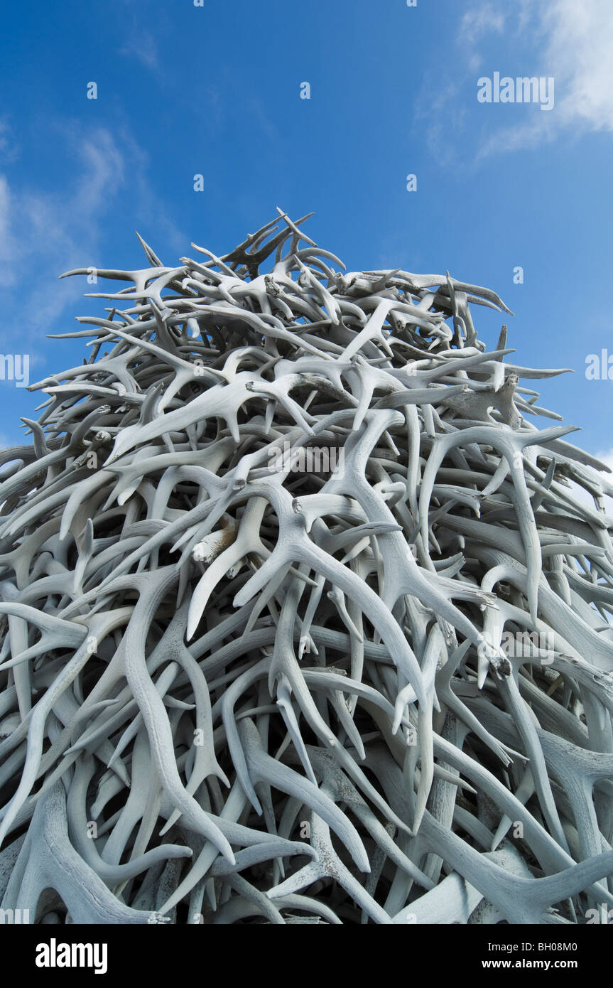 Stack of antlers hi-res stock photography and images - Alamy
