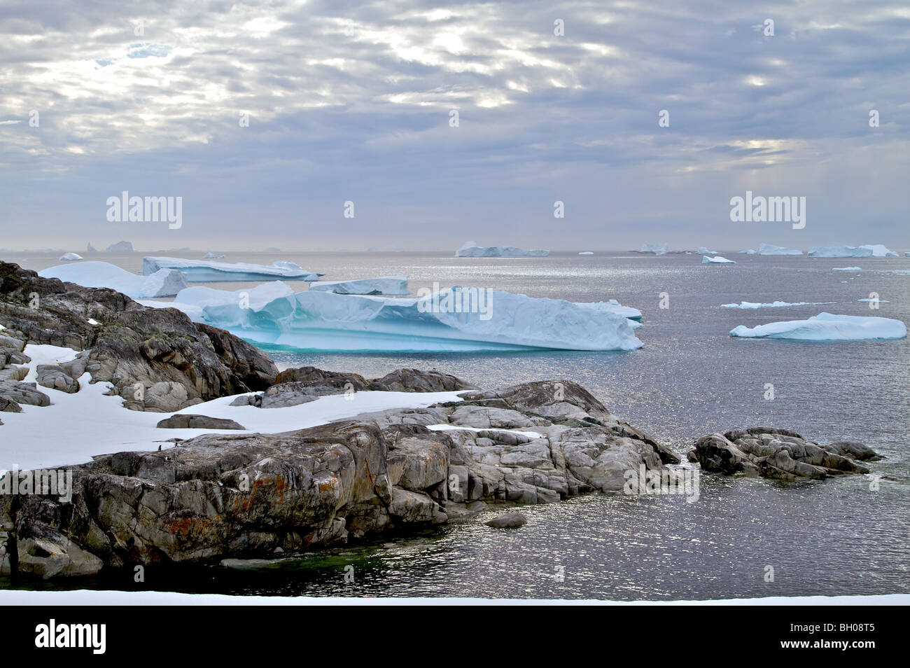 Scene from Petermann Island, Antarctica Stock Photo - Alamy