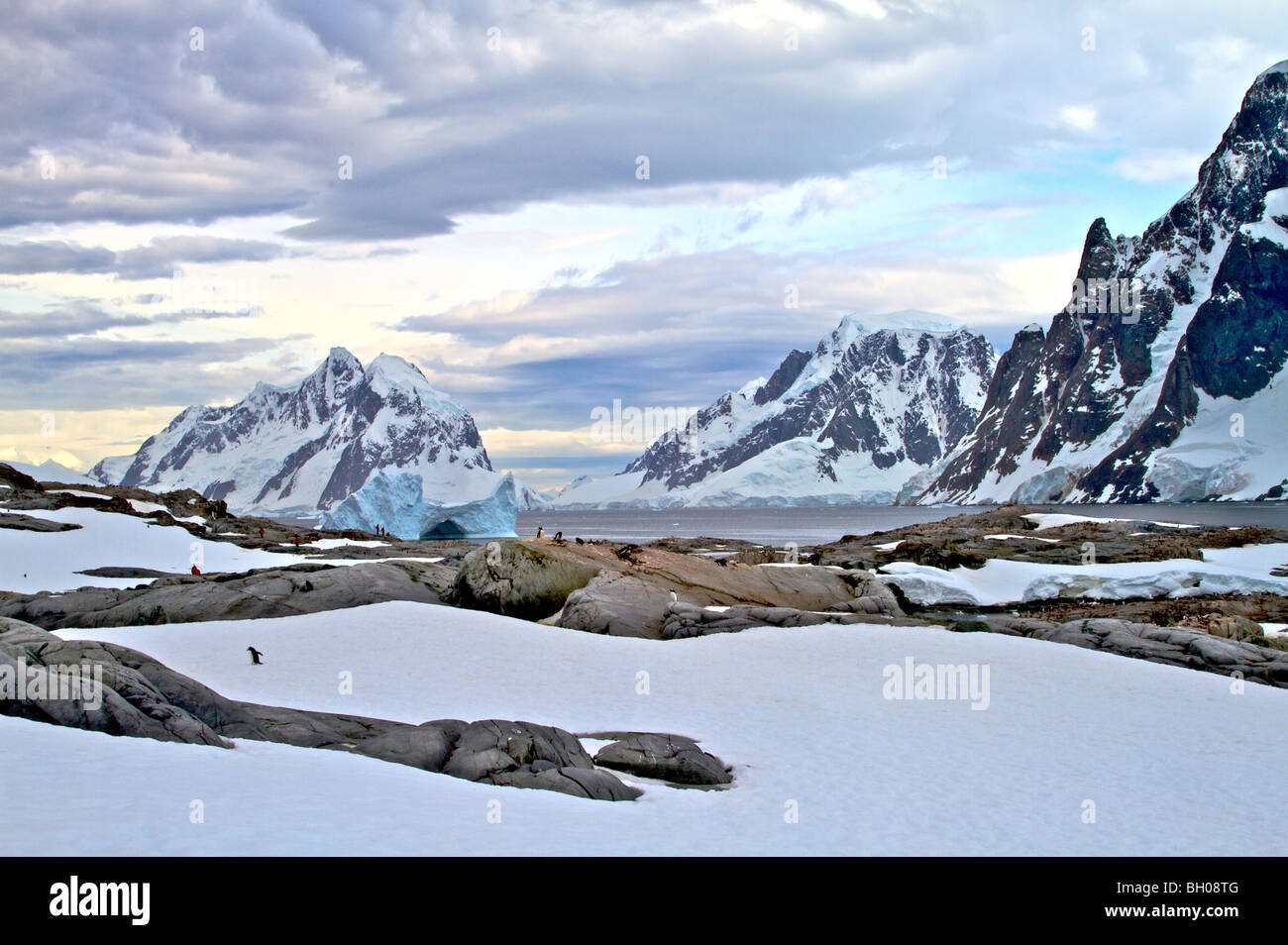 Scene from Petermann Island, Antarctica Stock Photo - Alamy