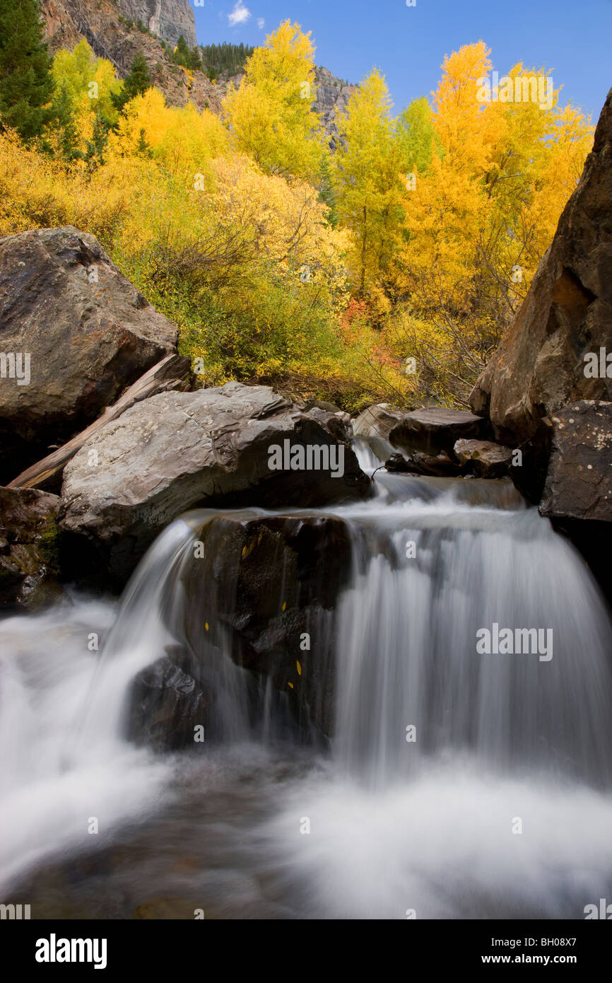 Autumn colors along Bear Creek in the San Juan Mountains, near Ouray ...