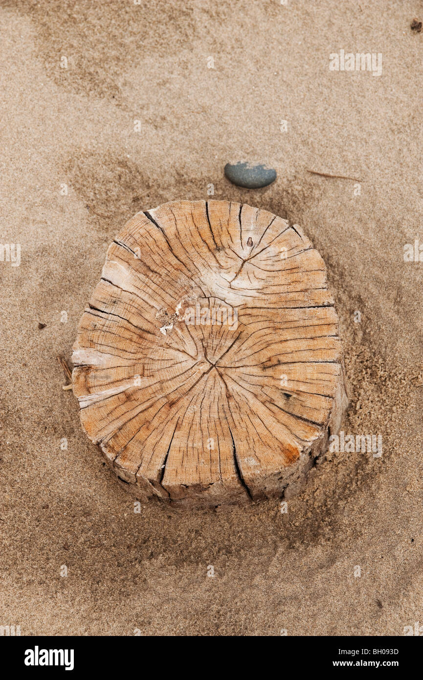 Stump sand hi-res stock photography and images - Alamy