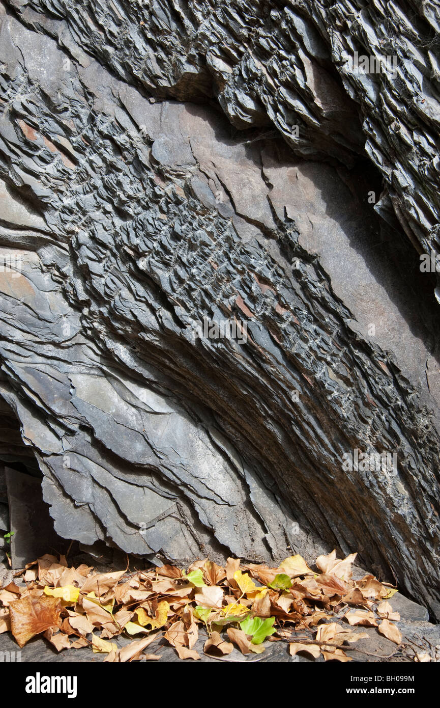 Rock face and autumn leaves Stock Photo - Alamy
