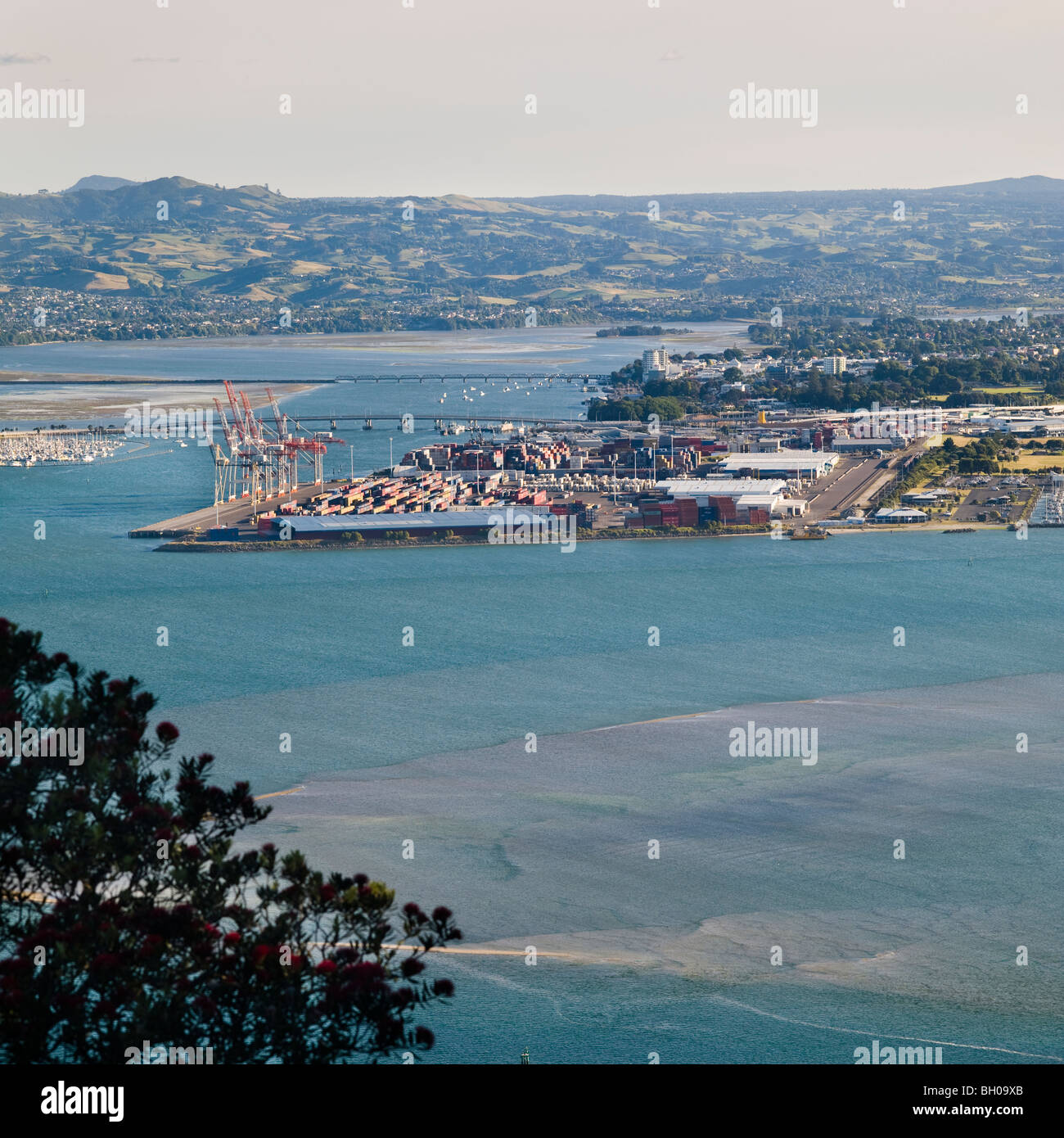 Mount maunganui headland hi-res stock photography and images - Alamy
