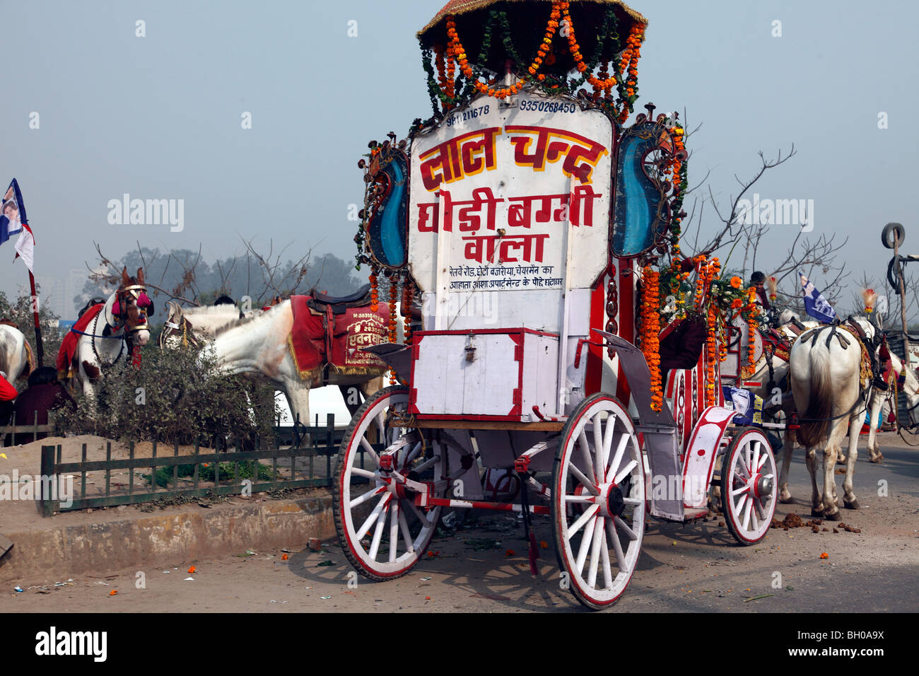 Gilded horses hi-res stock photography and images - Alamy
