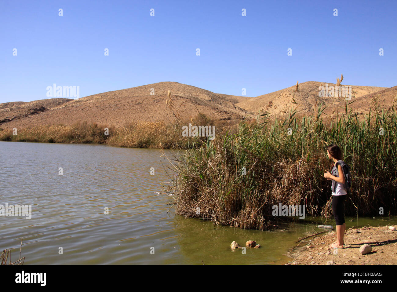 Israel, Yeruham park in the Negev Stock Photo - Alamy