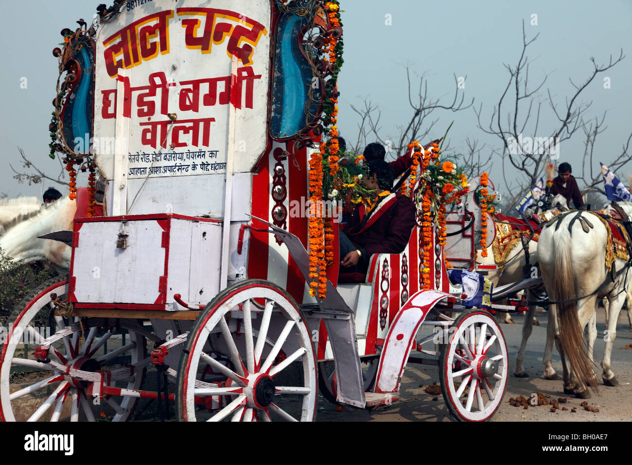 Gilded horses hi-res stock photography and images - Alamy