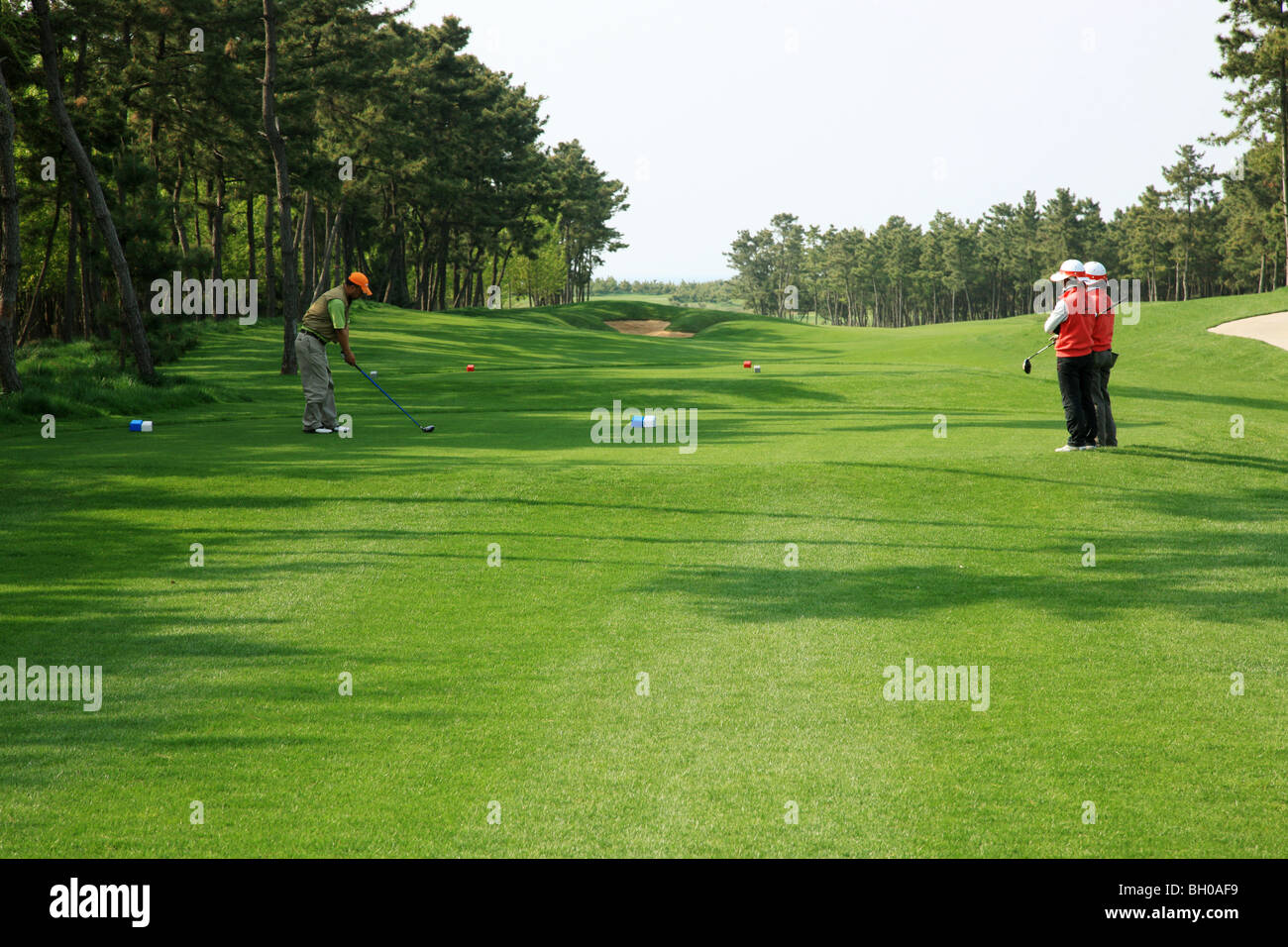 Man playing golf in golf course Stock Photo - Alamy