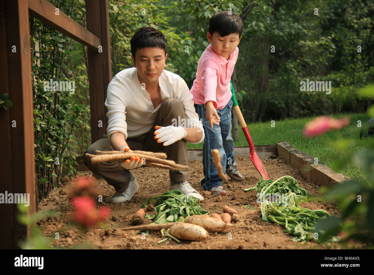 father and son working in backyard Stock Photo - Alamy