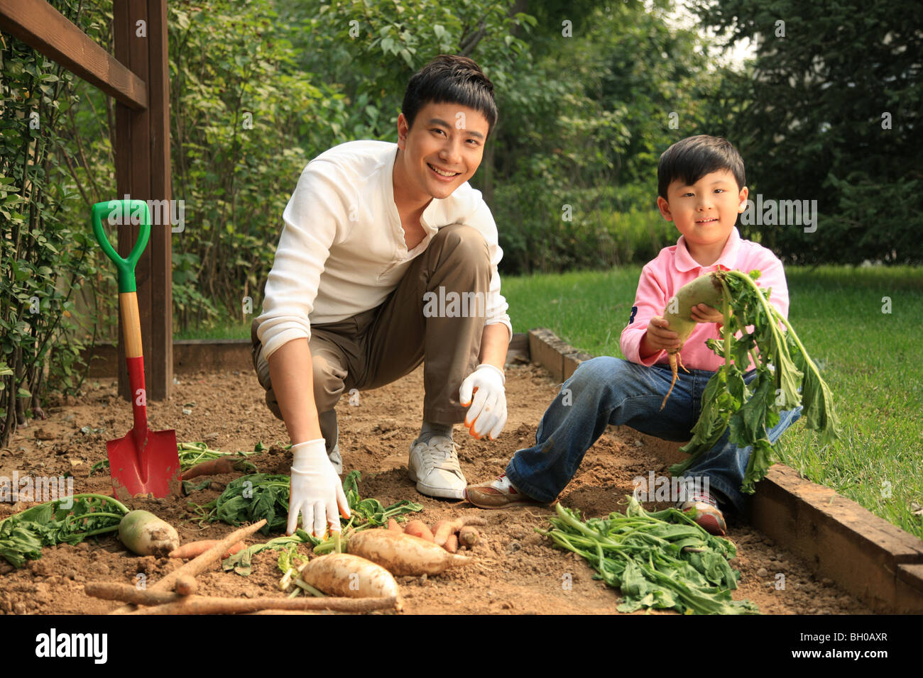 father and son working in backyard Stock Photo - Alamy