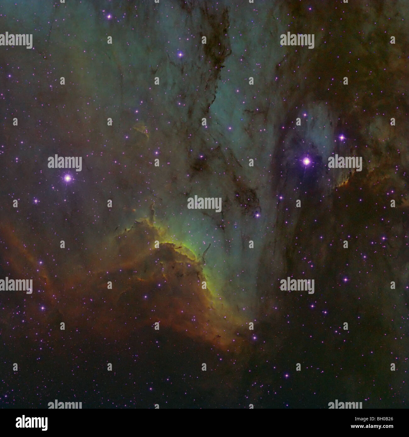 False-colour image of the Pelican Nebula in Cygnus Stock Photo - Alamy