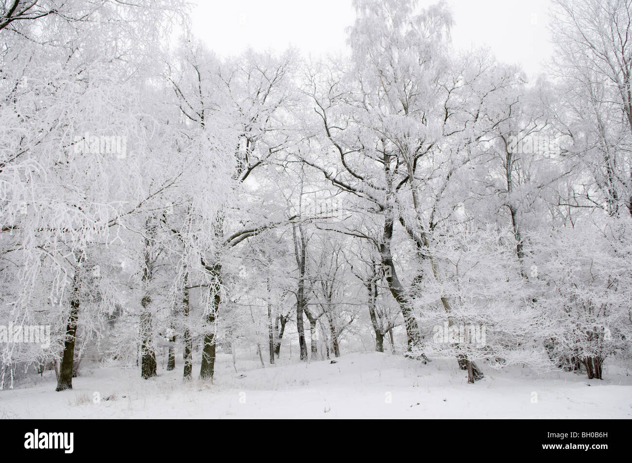 Frosty winter landscape Stock Photo - Alamy