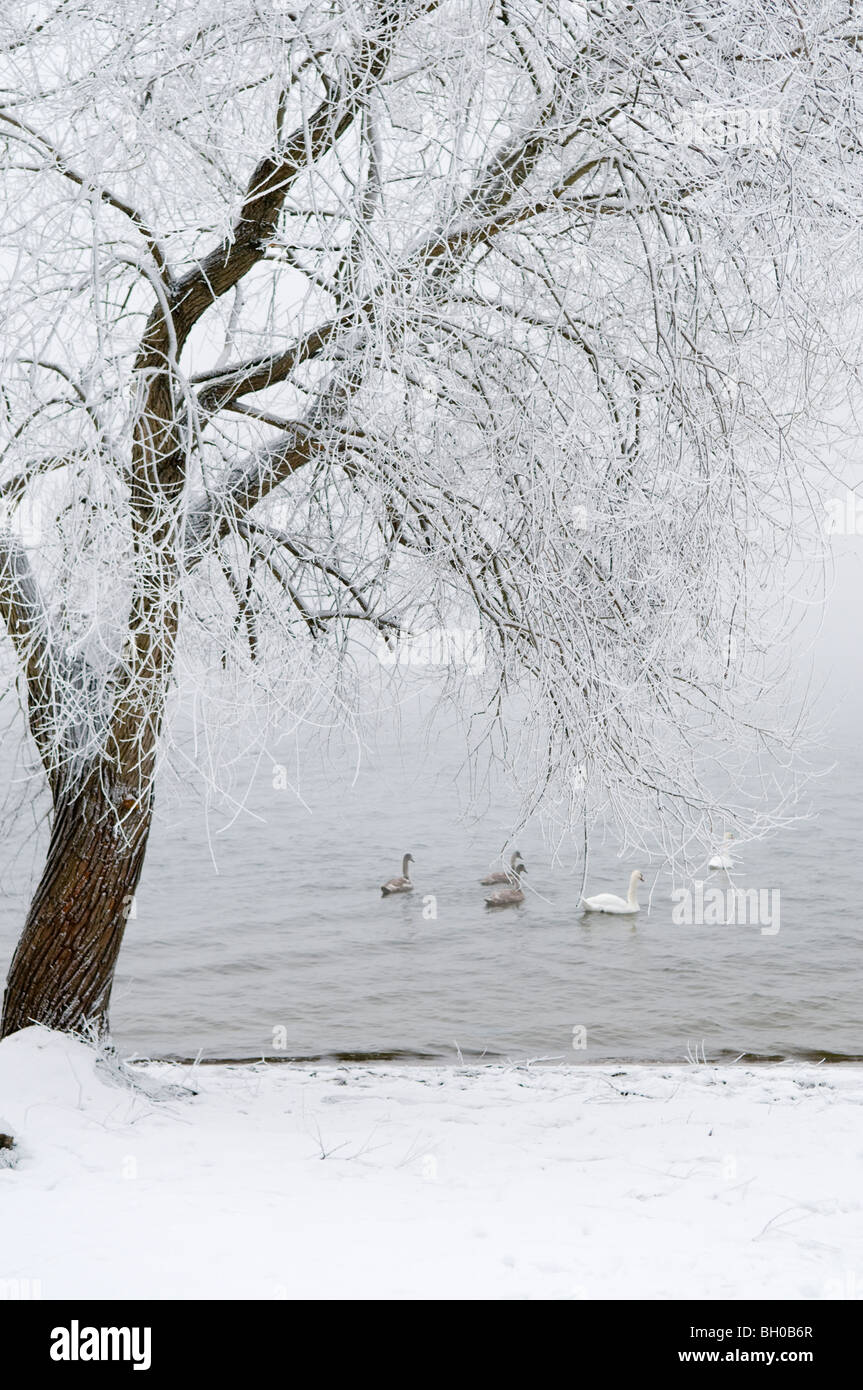 Frosty winter landscape Stock Photo - Alamy