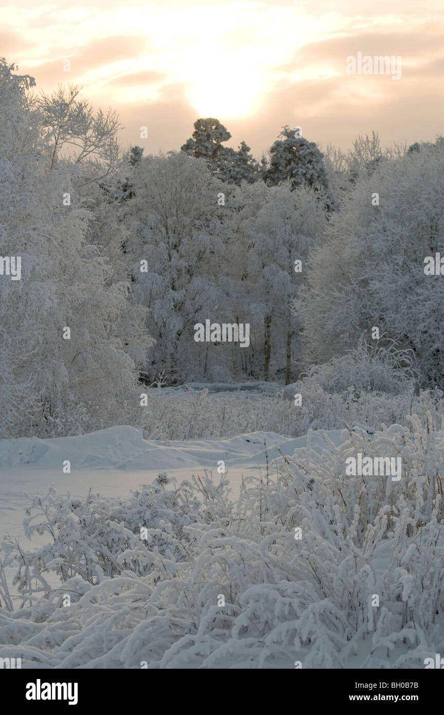 Frosty winter landscape Stock Photo - Alamy