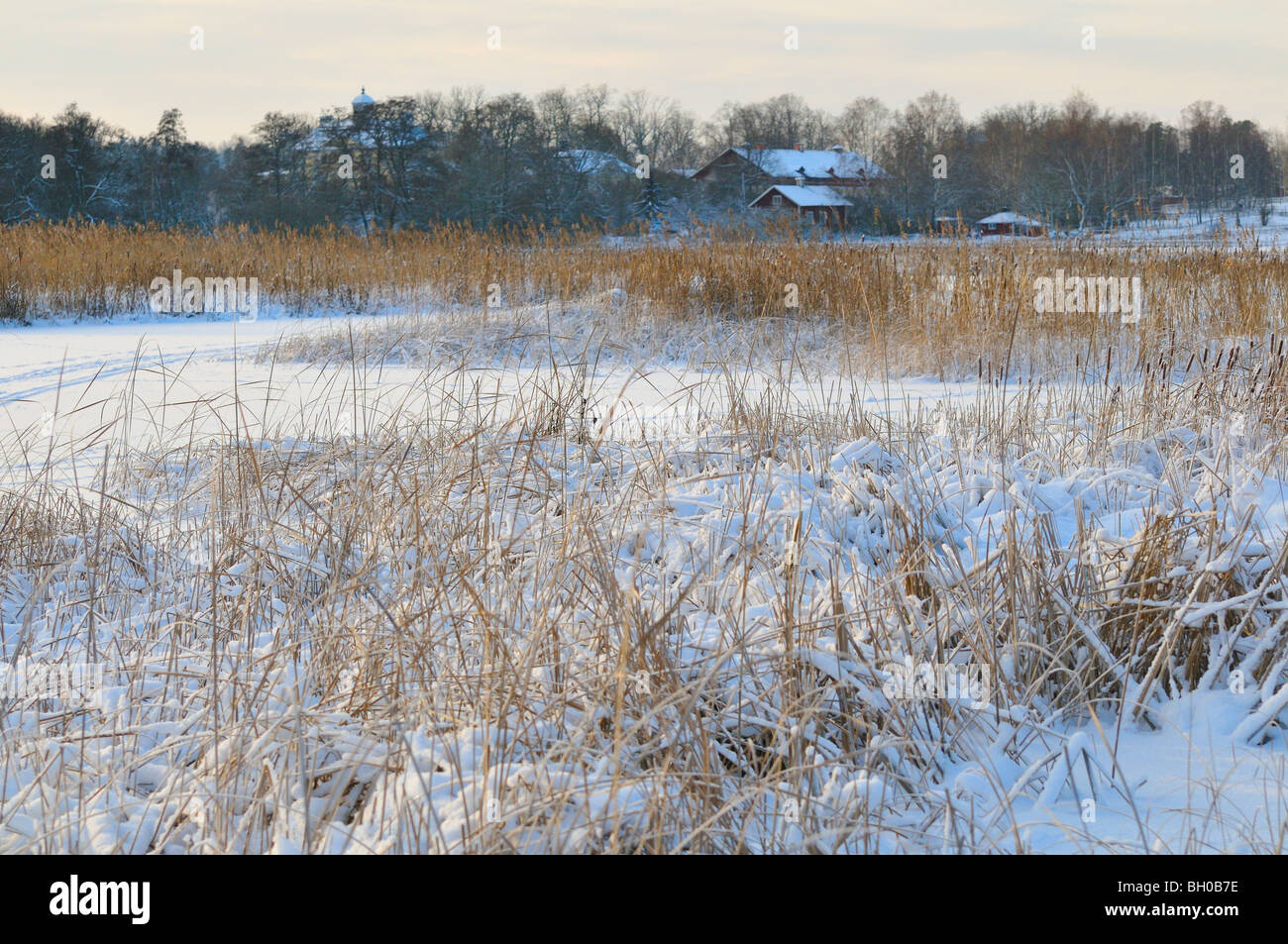 Frosty winter landscape Stock Photo - Alamy