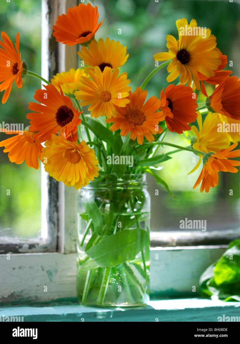 Flowers - village still life Stock Photo - Alamy