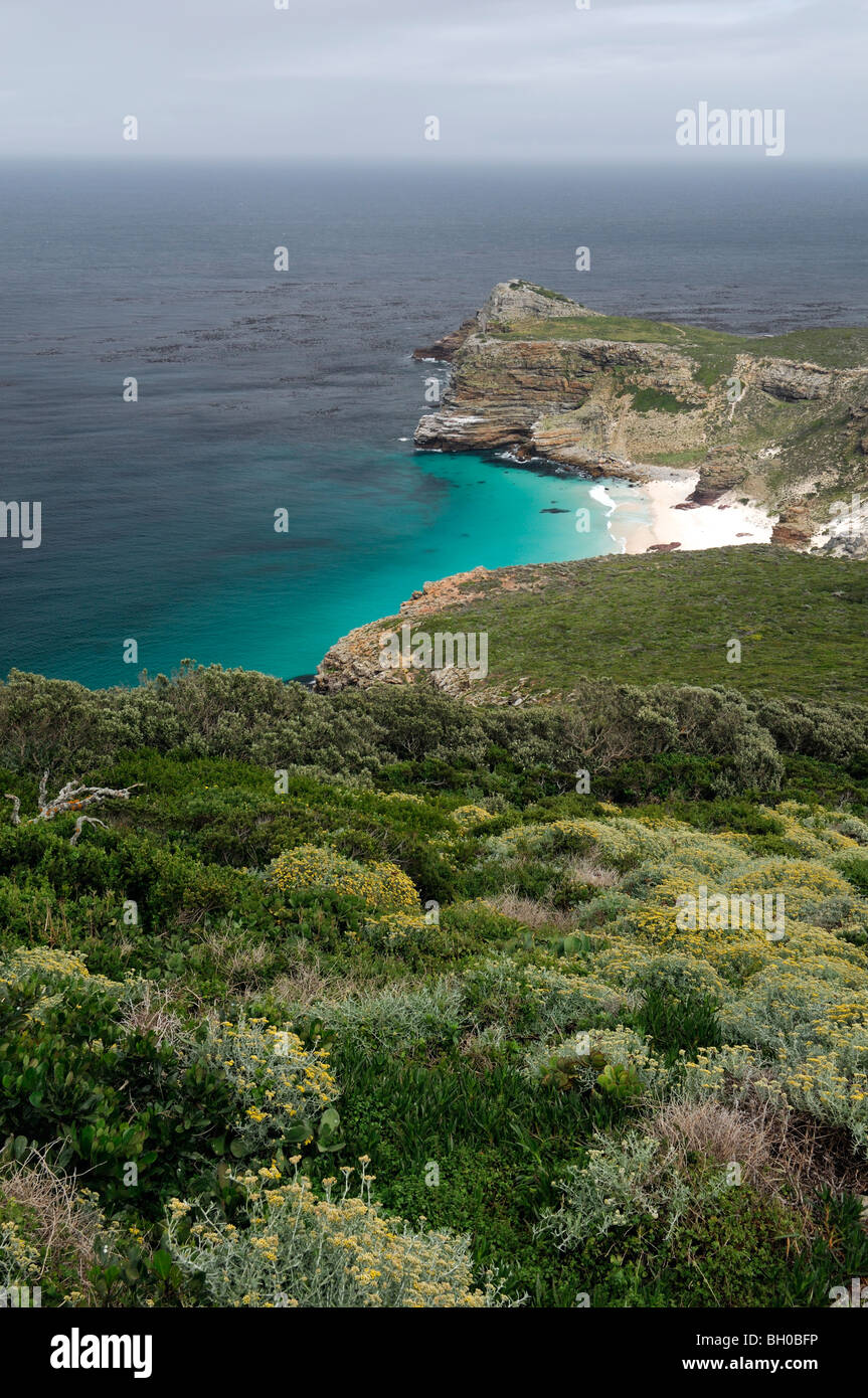 Cape Point Coastal scenery Table Mountain National Park, Cape Town ...