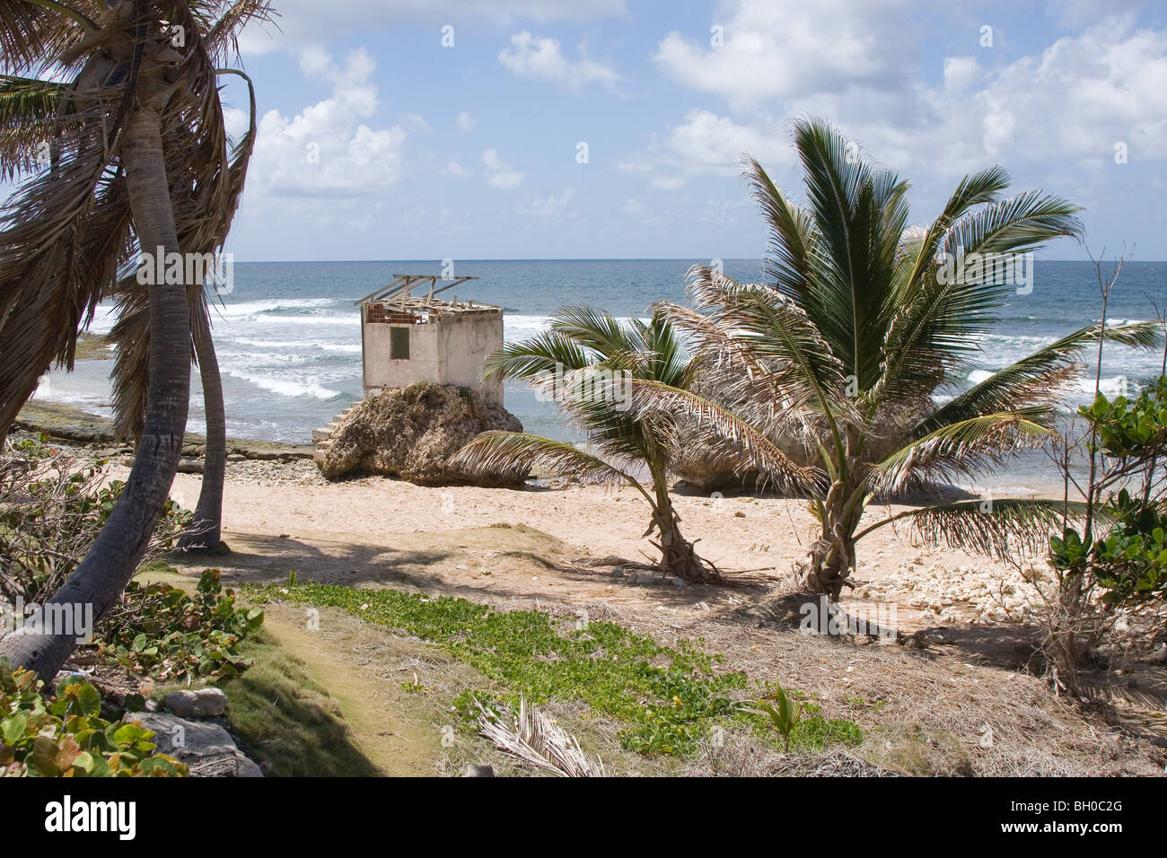 Beach scene at Bathsheba, Barbados Stock Photo - Alamy
