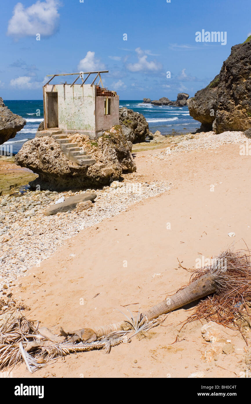 Beach scene at Bathsheba, Barbados Stock Photo - Alamy