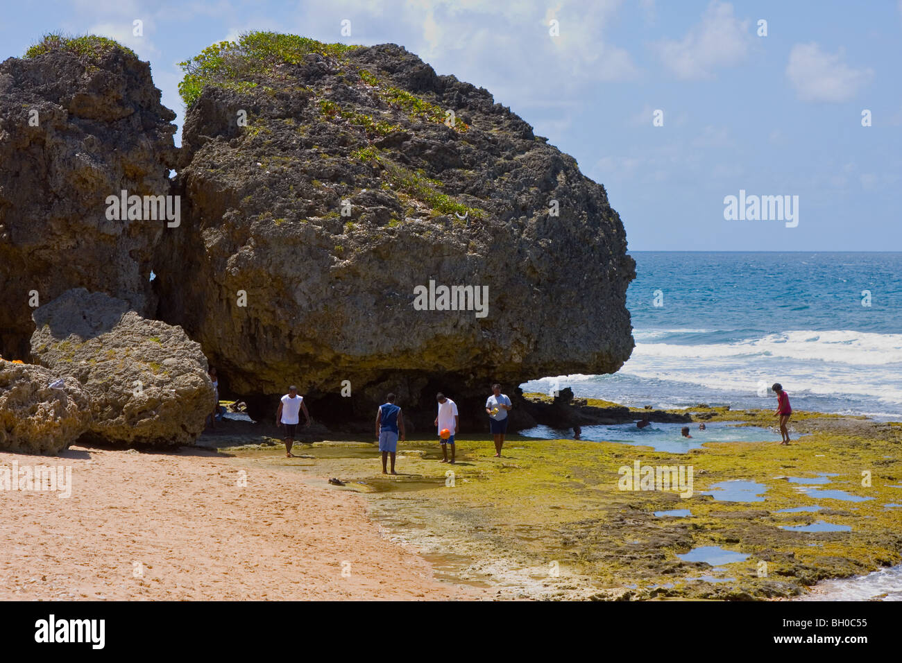 Beach scene at Bathsheba, Barbados Stock Photo - Alamy